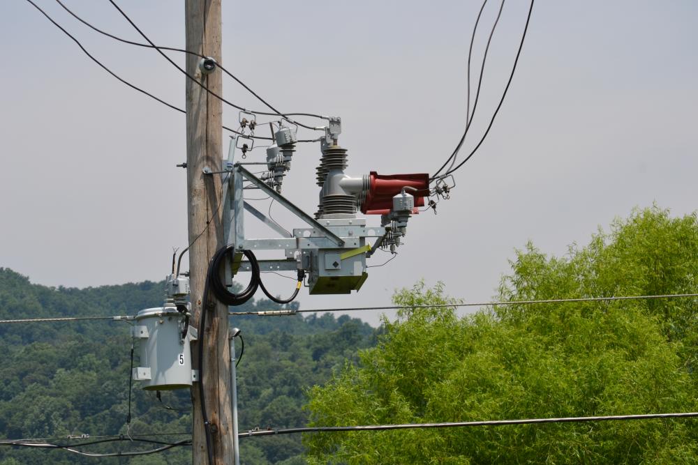 Reliability: Protecting Power Lines from Wildlife | Rappahannock ...